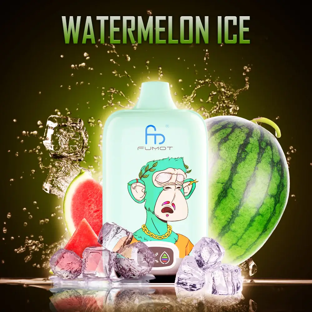 FUMOT Watermelon Ice RandM Tornado 12000 Digital Box Disposable Züge ...